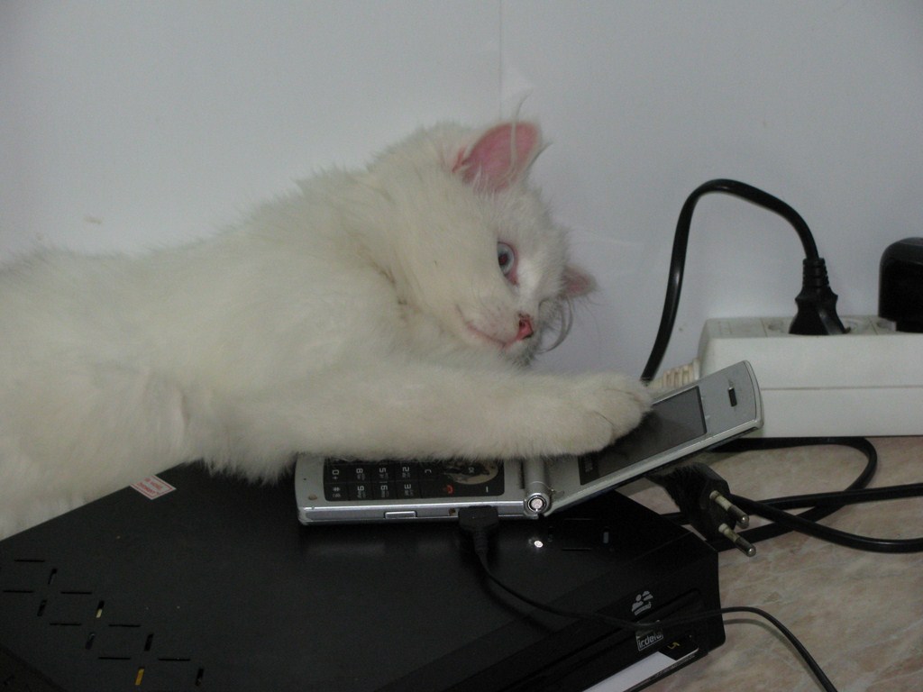 R6DR разное - Фотогалерея на CQHAM.RU