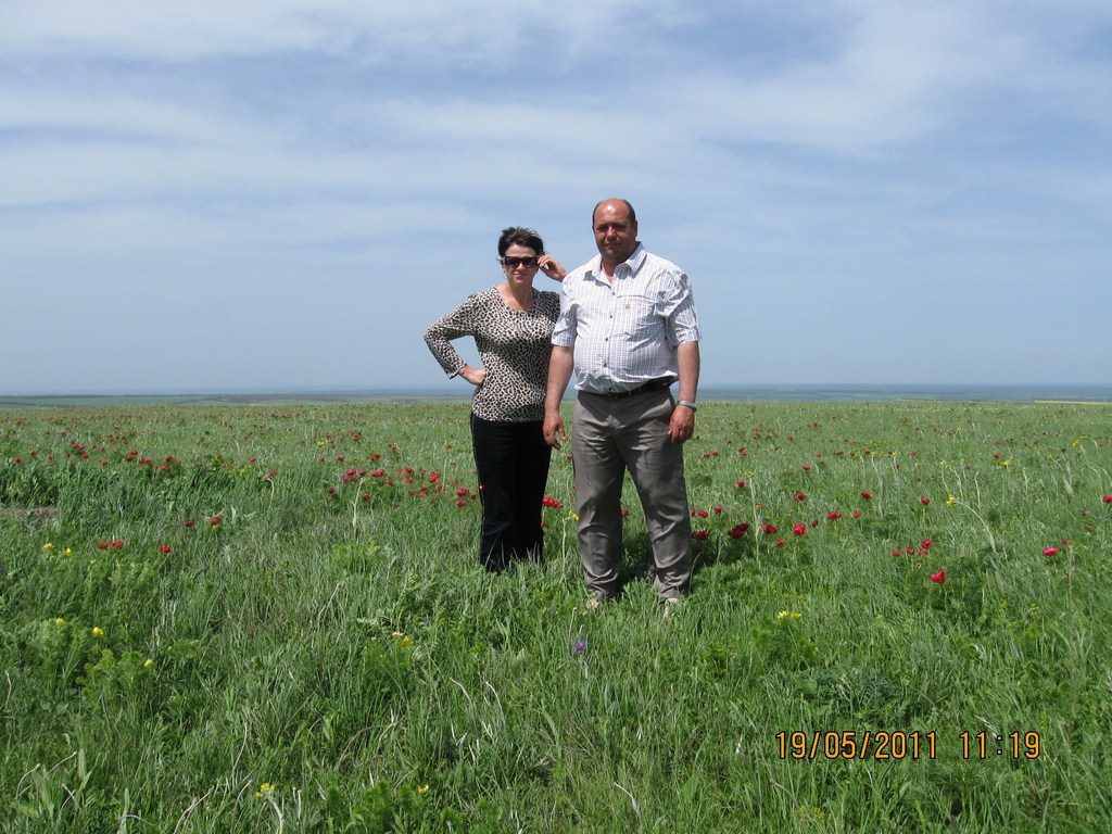 R6DR на природе и дома - Фотогалерея на CQHAM.RU