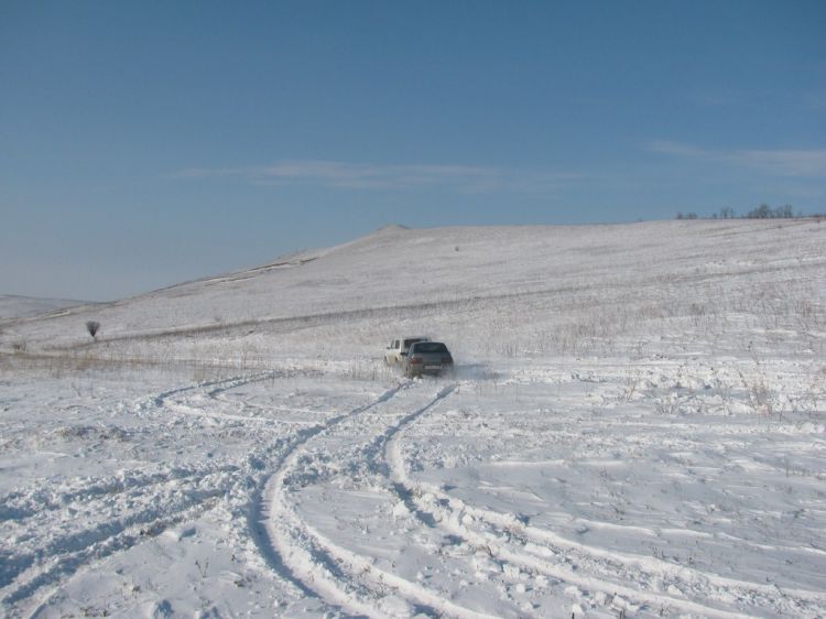R6DR на природе и дома - Фотогалерея на CQHAM.RU
